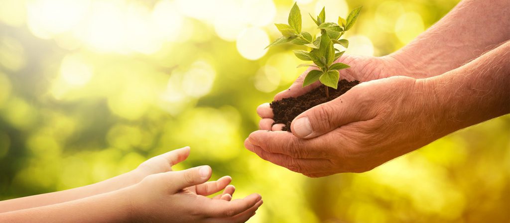 Die auditcert erhält die Zulassung als Zertifizierungsstelle im Rahmen ...